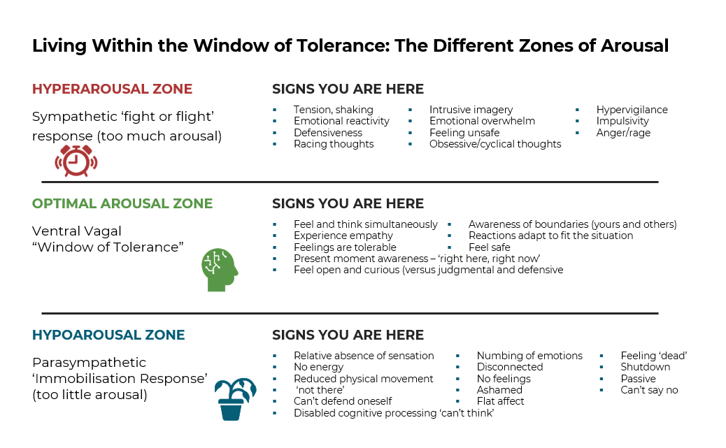Nurturing Emotional Resilience Understanding the Window of Tolerance ...